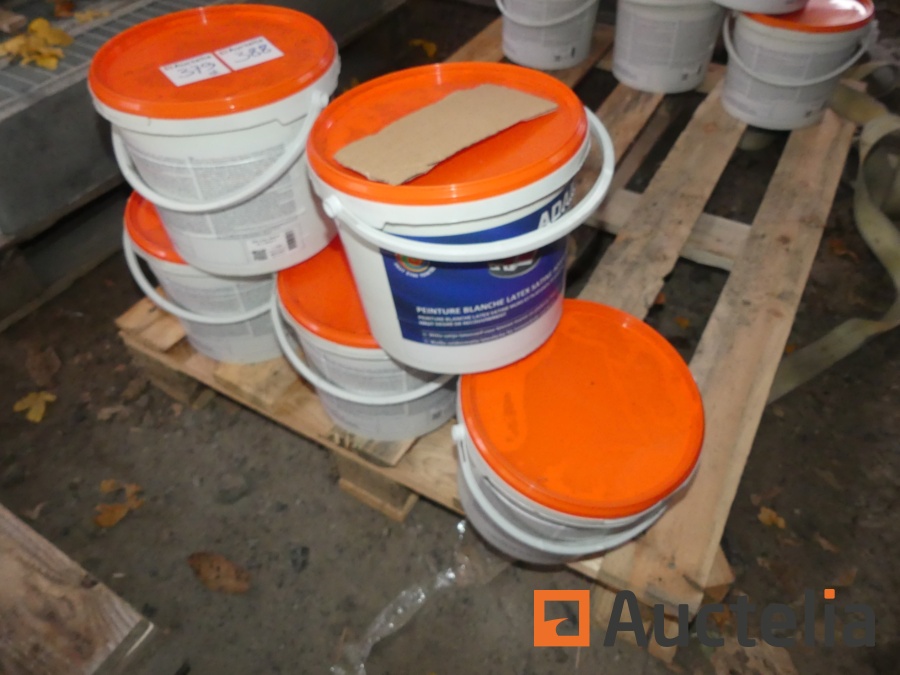 25 Liters of white painting Latex Matte interior Adam - Construction m ...