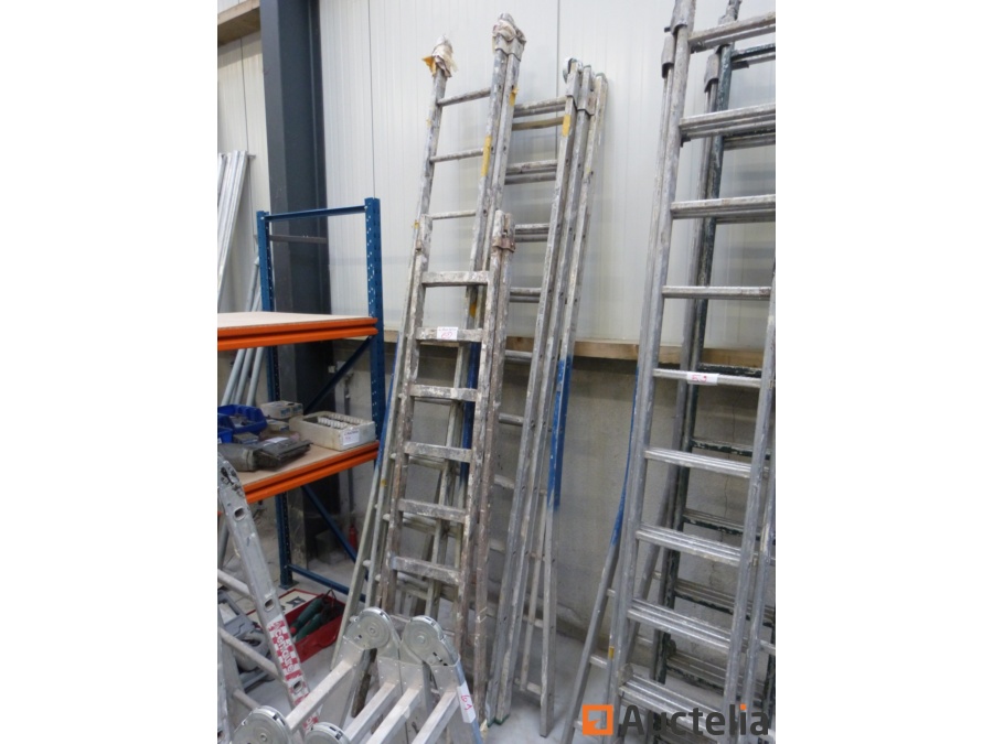 Double Ladders, Triple Ladders - Ladder - auctelia.com