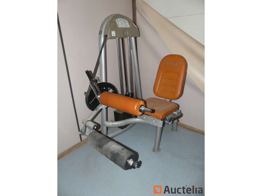 TRUE SEATED LEG FLEXION Stretching machine - Other industries - Leisur ...