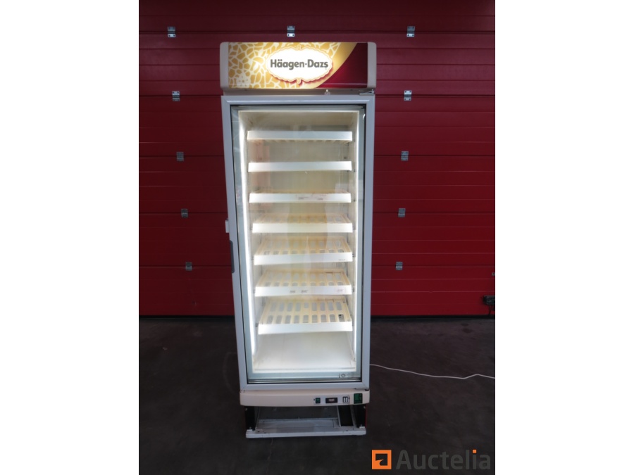 Wall-mounted freezer Haagen-Dazs - auctelia.com