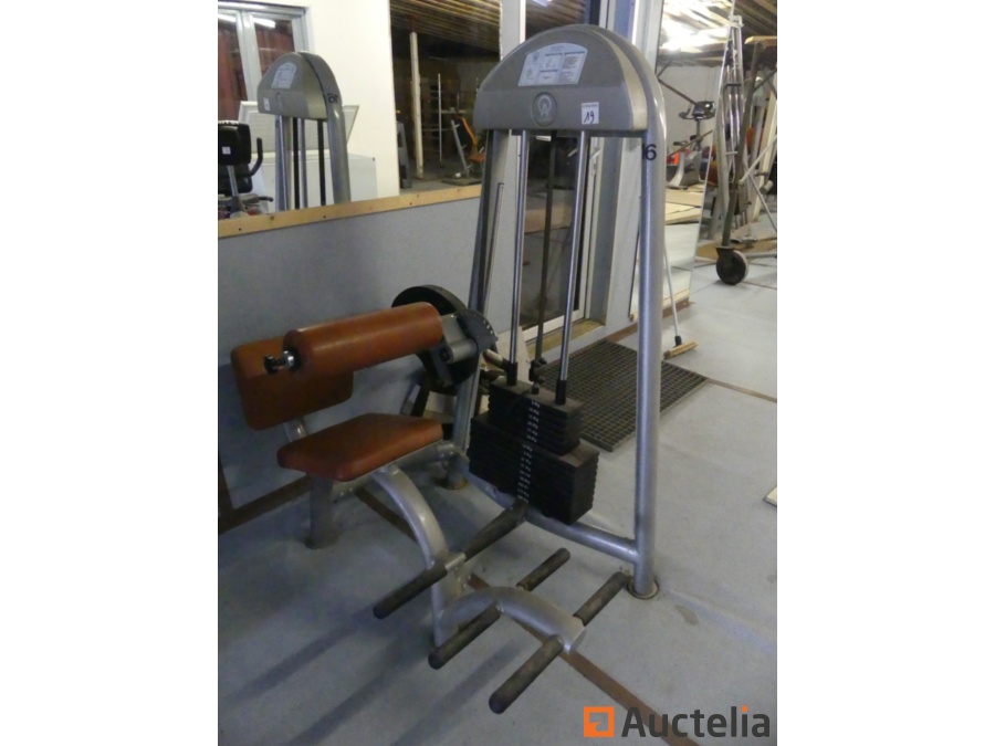 Weight machine for abdo-torso TRUE Torso Flexion - Leisure Industry ...