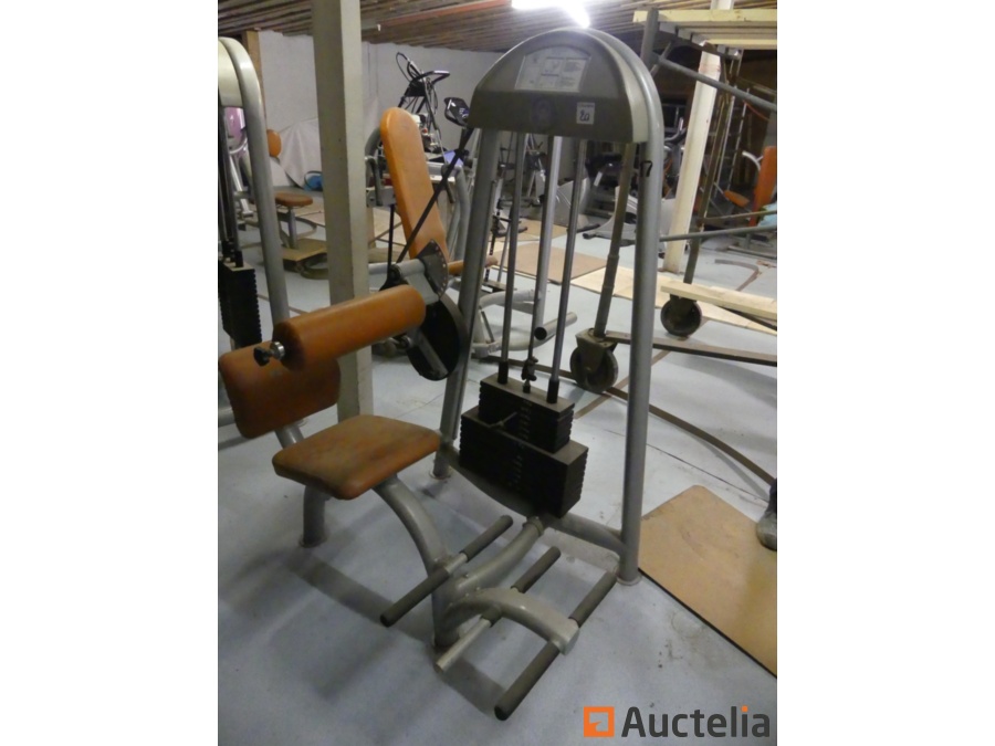 Appareil de musculation pour abdo-torse TRUE Torso Flexion - Autres in ...