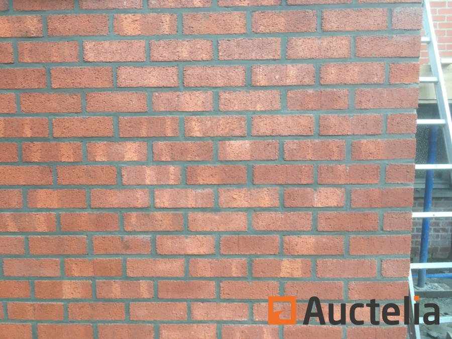 5 Pallets van Red Wanlin bakstenen - Bouwmaterialen - Bakstenen - auctelia.com