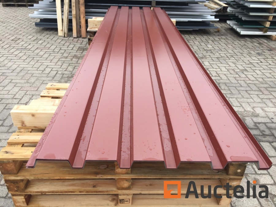 6 Dakplaten | Gevelplaten | Metaal | Nieuw | Ongebruikt - 310 x 100 cm ...